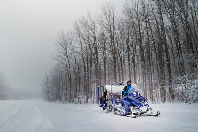 Alpina Snowmobiles - 2025 best utility snowmobiles