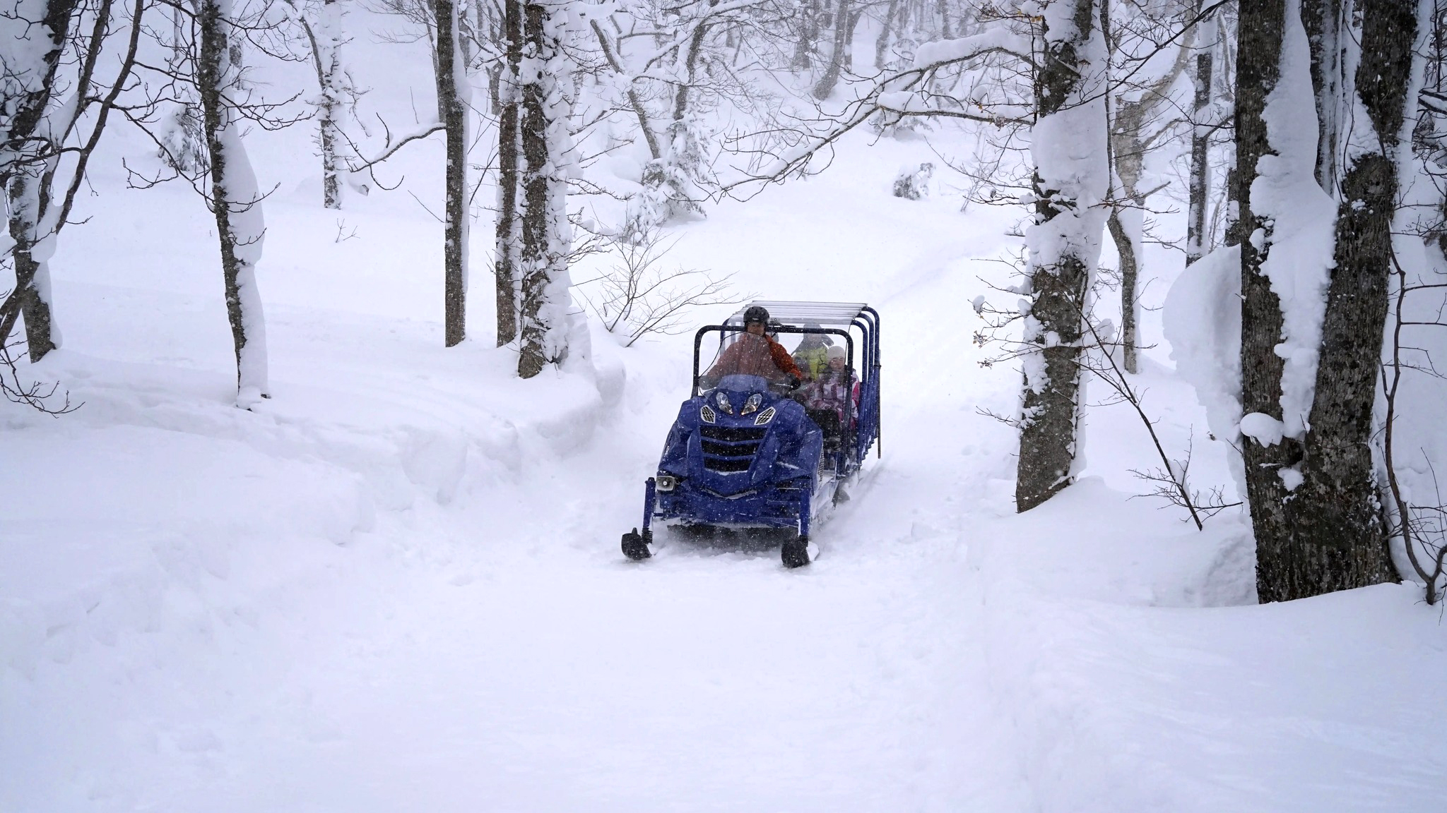 Happier environment - Alpina Snowmobiles